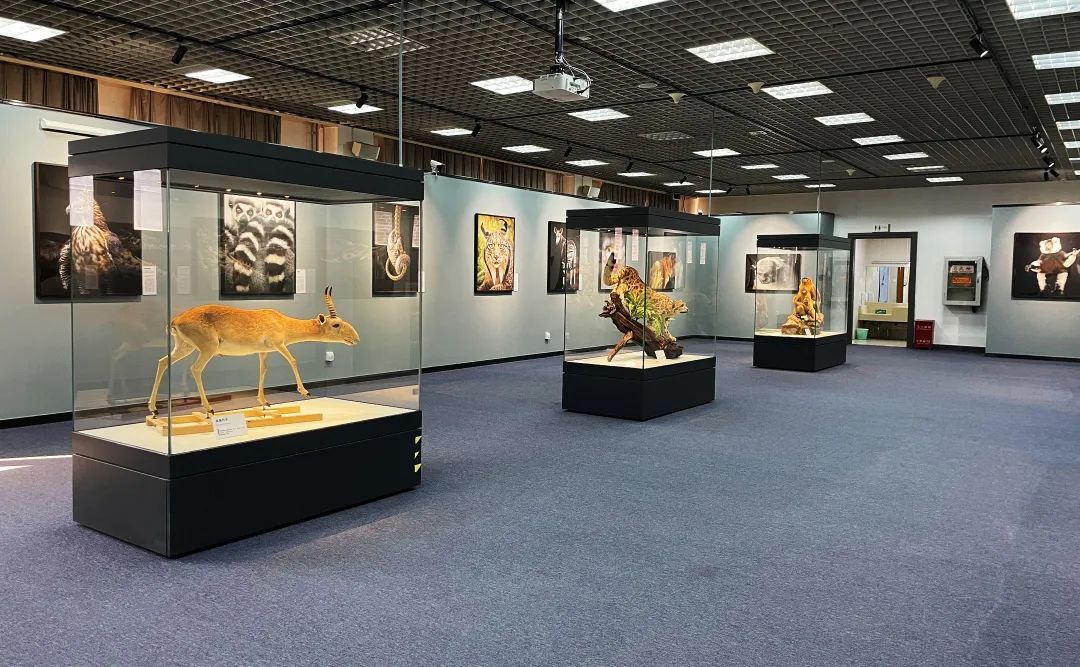 The Disappearing World - Endangered Animals Photography Exhibition - iNEWS