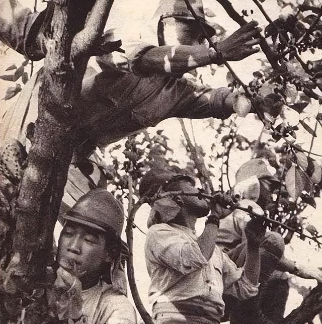 Guerrilla sharpshooter Guan Erru: shot through the telescope and blew ...