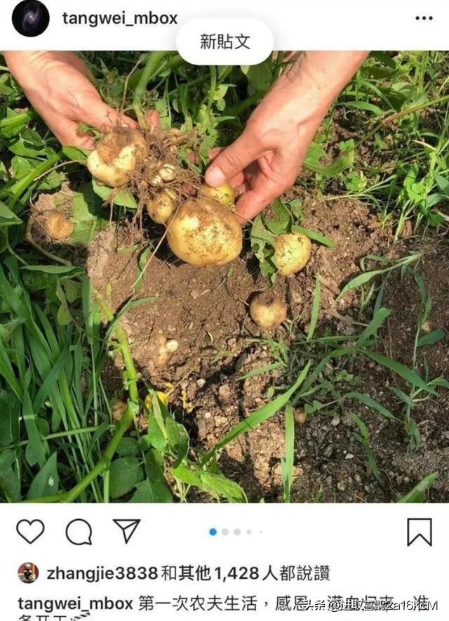 45-year-old Tang Wei, the manor-style mansion is popular, grows ...