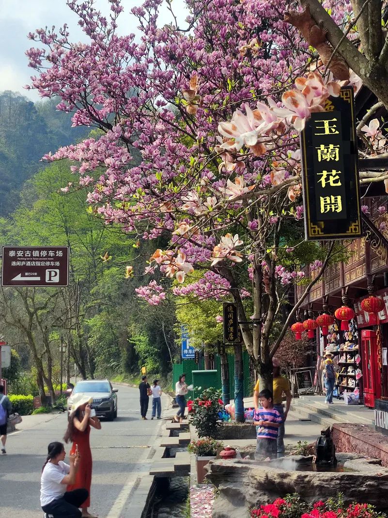Great place in spring!1h direct access to "Natural Drunken Oxygen Land ...