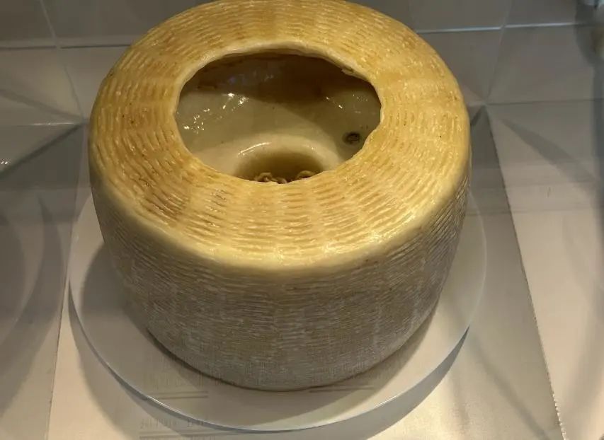 Swedish Disgusting Food Museum, which one can you see? - iMedia