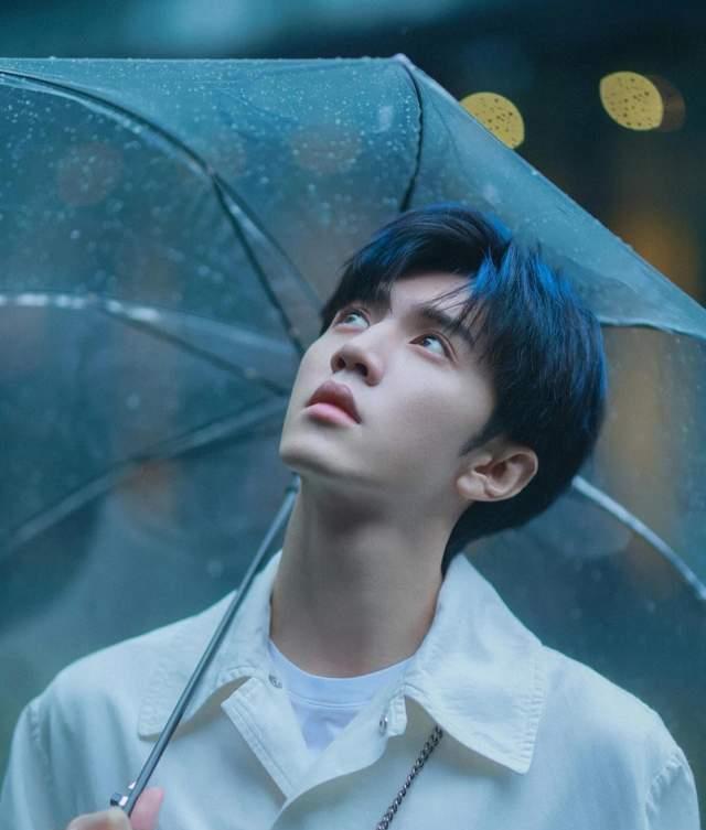 The four great talents on Weibo night were revealed. Chen Zheyuan, Yu ...