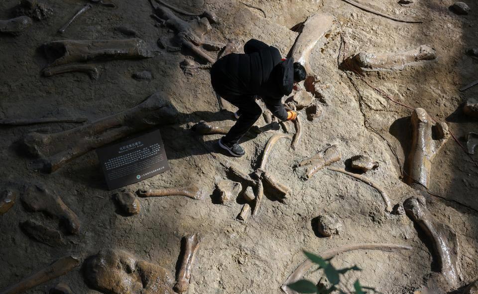 The mystery of dinosaur fossils: How do billion-year-old guardians ...