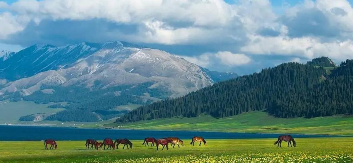 American spy intelligence in 1931: How the Soviet Union devoured China ...