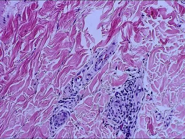 The mysterious Shatuo tribe: they suddenly rose and then disappeared ...