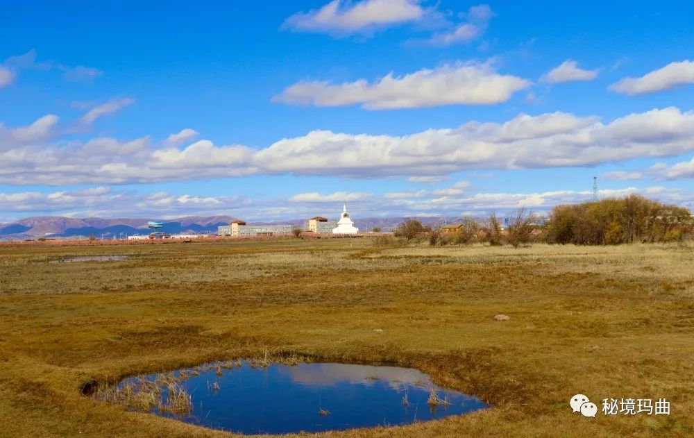 Beautiful river meander horse farm lake - iNEWS