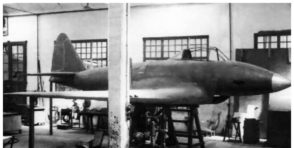 Italy's Secret Fighter During World War II - Piaggio P.119 - iMedia