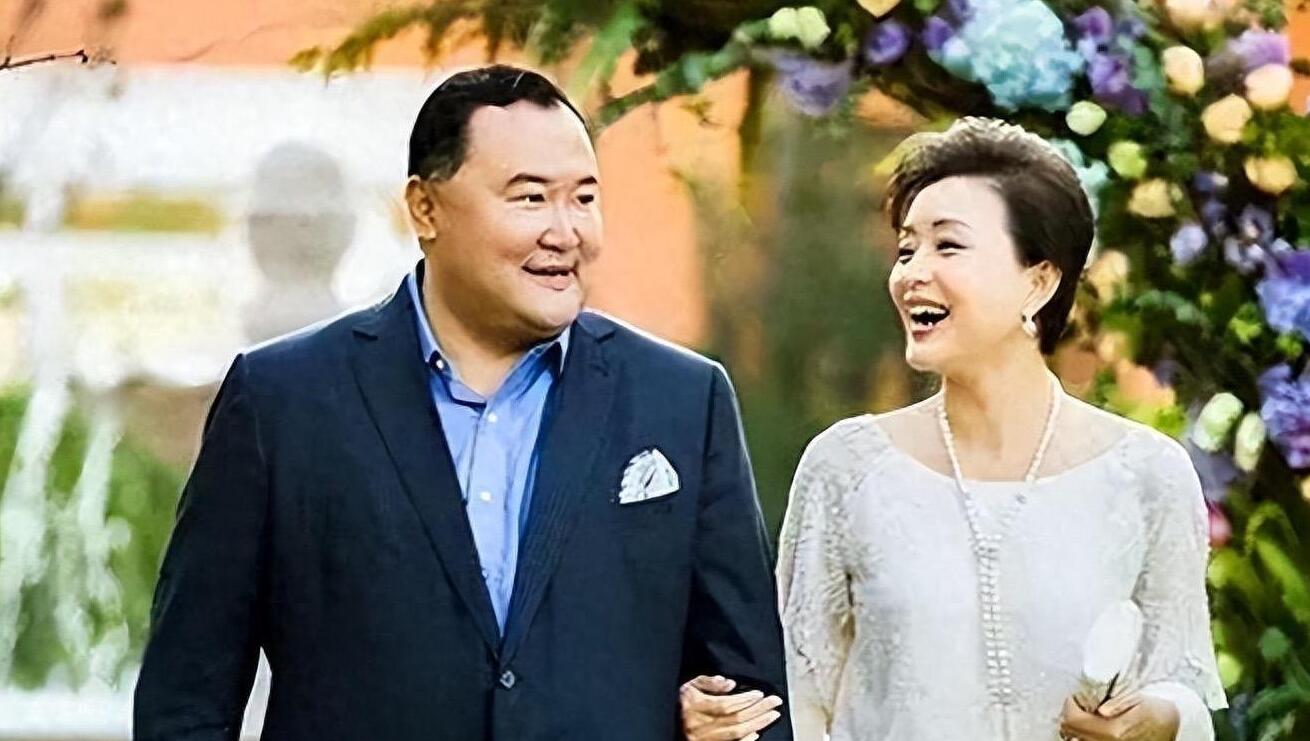 The emotional journey behind Yang Lan's emotional confusion is like a ...