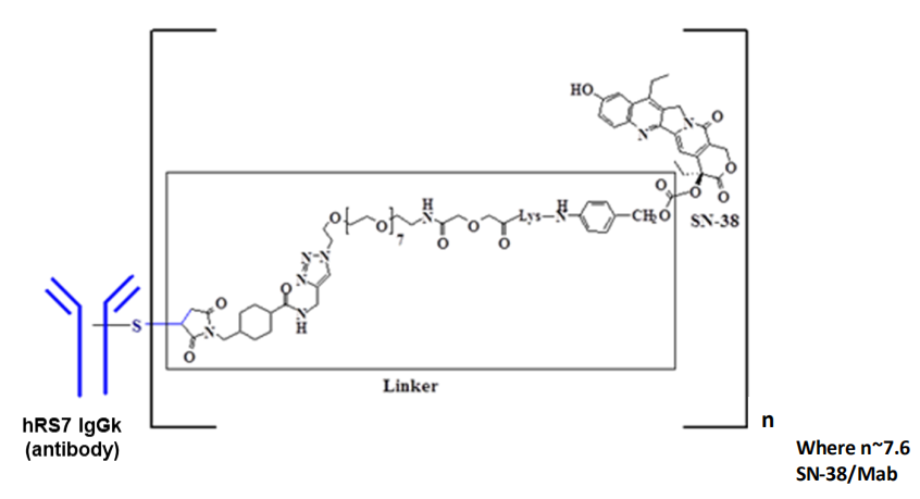 Why is immunohistochemistry preferred for TROP-2 ADC companion ...