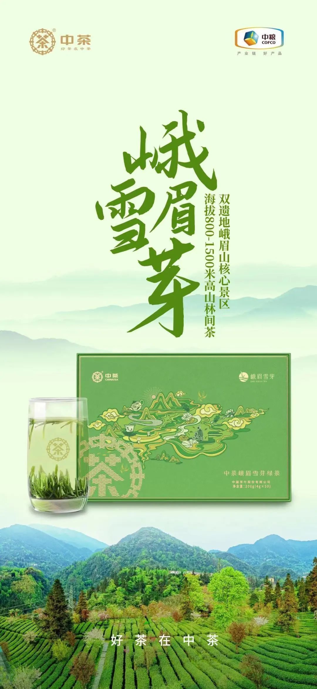 The new "member" of China Tea Green Tea - Emei Xueya, gives you a new ...