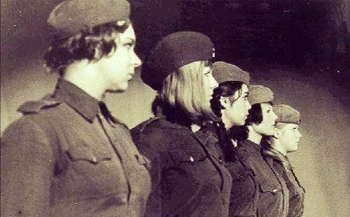 Why did the Soviet Army have far fewer divisional troops than the ...