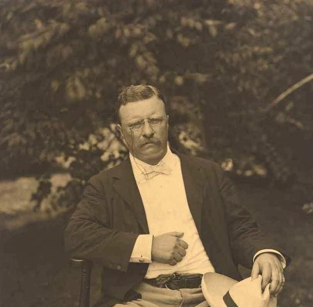 Theodore Roosevelt, a pioneer in the anti-trust struggle and the shaper ...