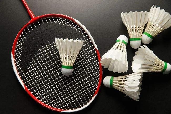 羽毛球比裝備更重要的是裝備常識 - 頭條匯