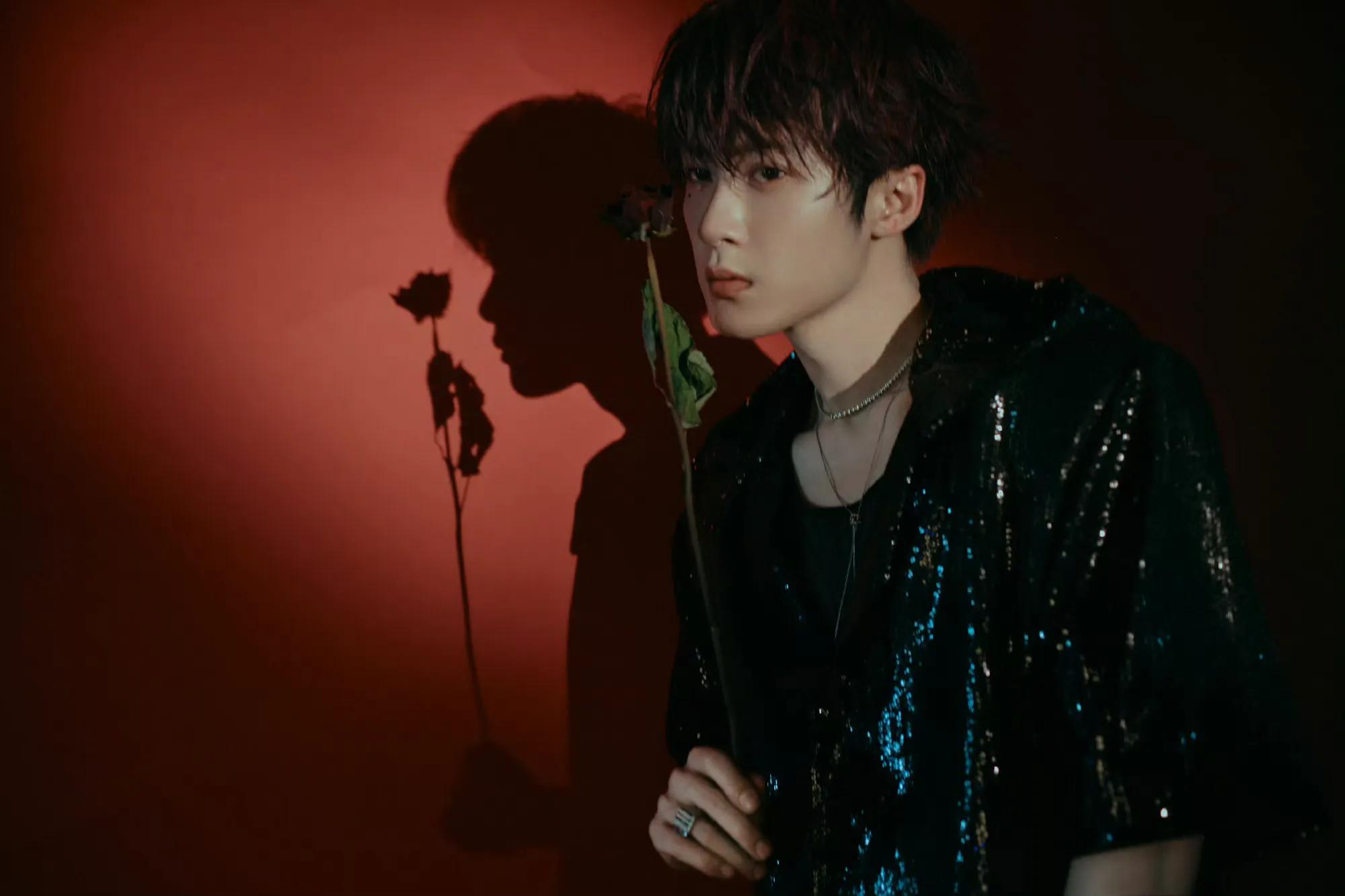 Who is the all-around domestic entertainment artist? - iMedia