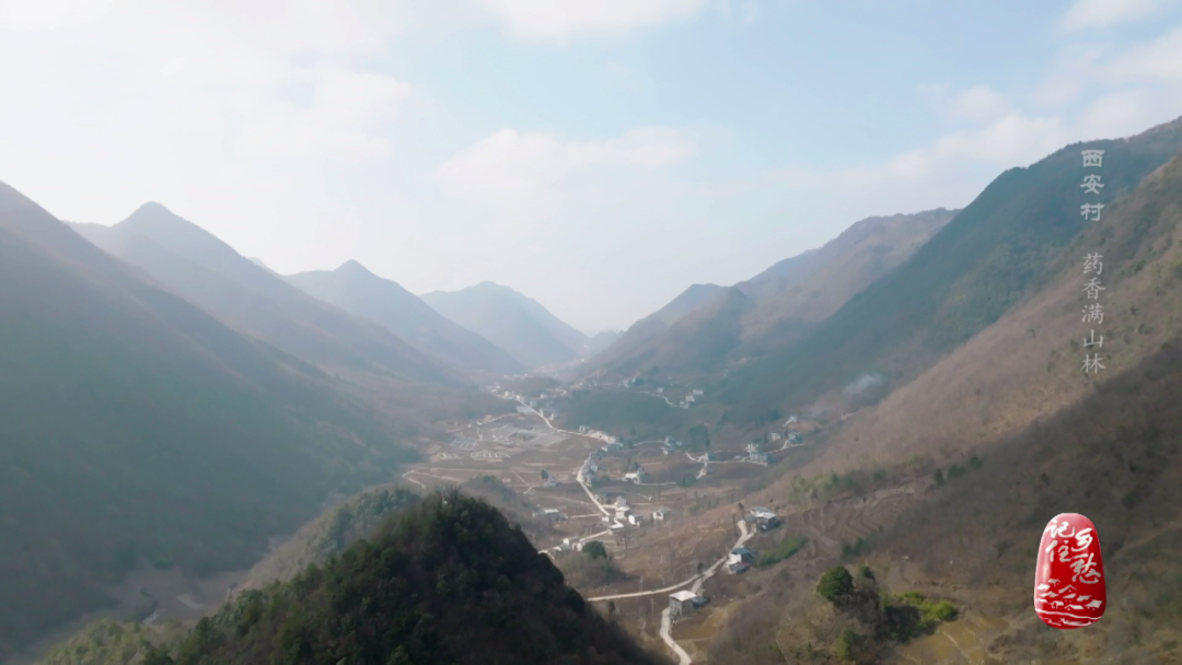 Xi'an Village at the foot of Bashan Mountain has been with the "sea of ...
