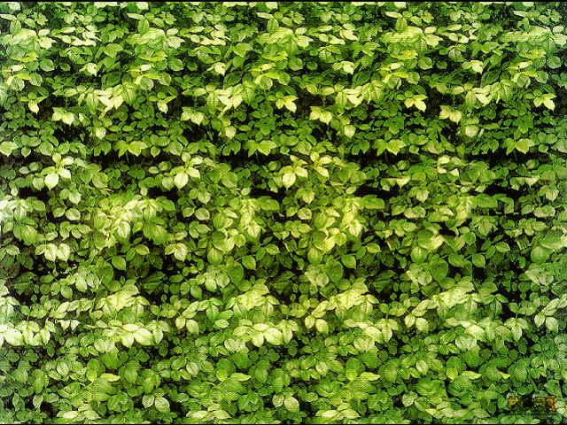 Superior IQ? Only people with an IQ above 130 can understand ten 3D ...