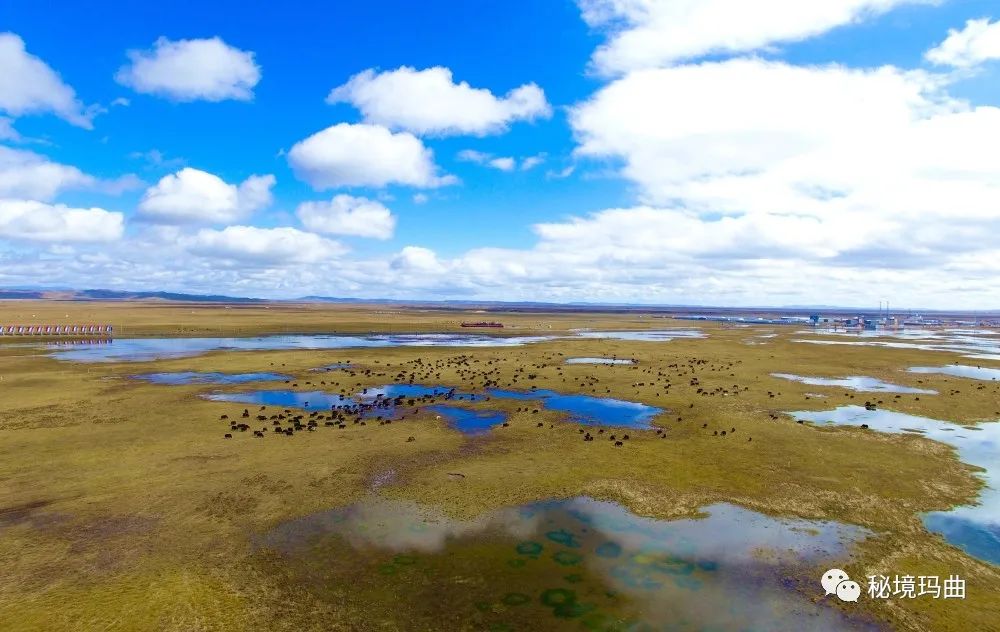Beautiful river meander horse farm lake - iNEWS