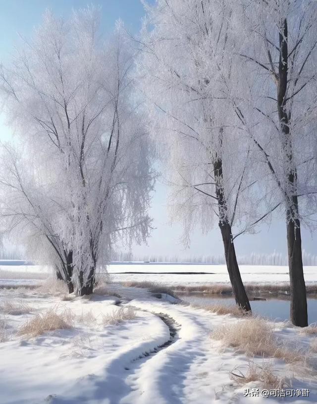 The rare Cold Dew is coming. This winter is unusual. Five major omens ...