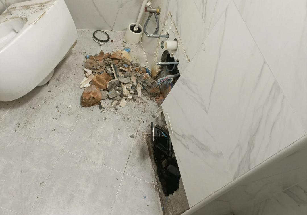 The wall-mounted toilet breaks down as soon as you sit on it, and it ...