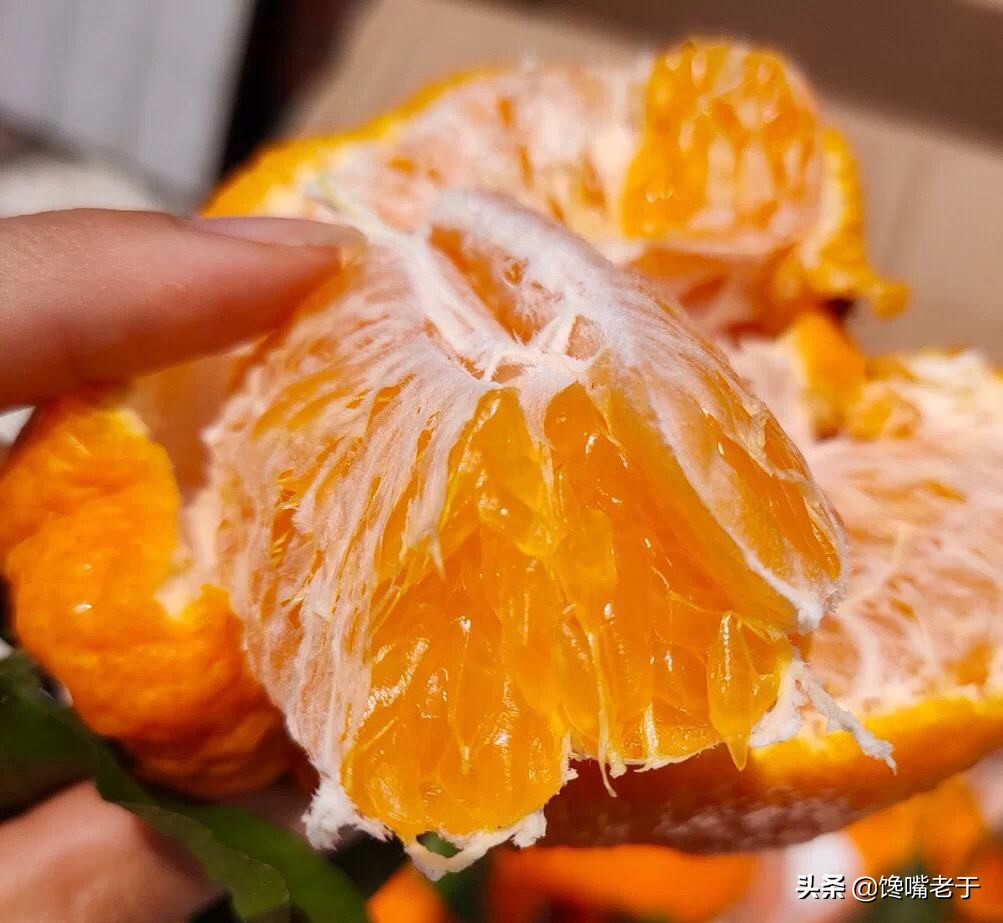 驚蟄過後：無論有錢沒錢，遇見這5種水果別手軟，營養極高還不貴 頭條匯