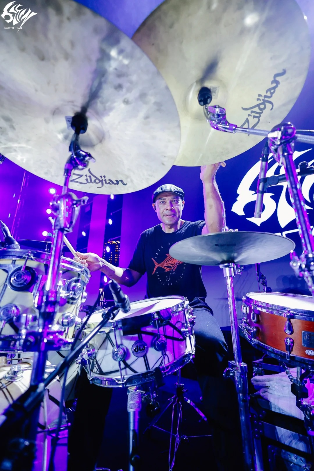 Last 4 days! Xin Band's concert in Shanghai is about to begin! - iMedia