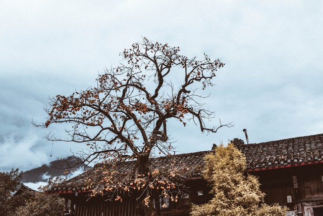 Outside the ruins of Laoji's "Duanjiatan", a new China-a big film ...