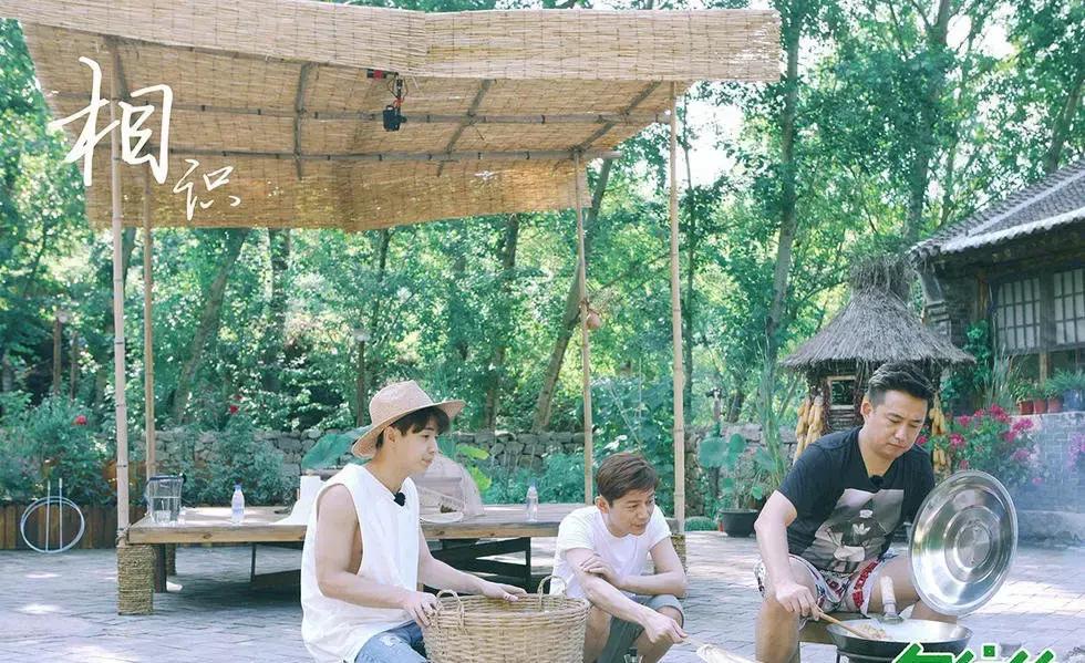 Huang Lei's chef character collapses, Zhao Liying's expression becomes ...