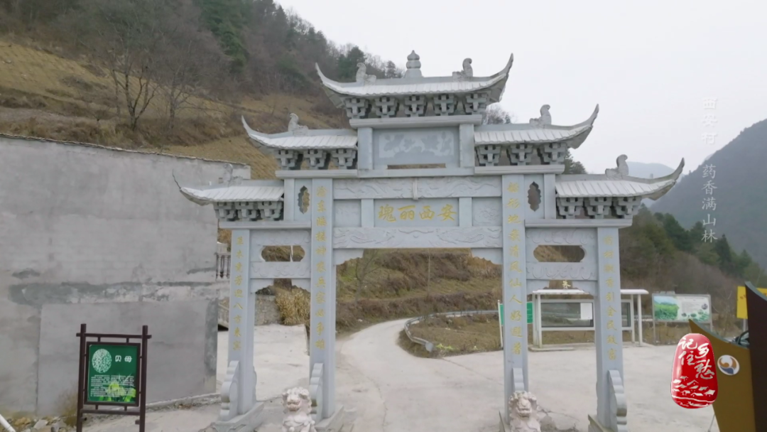 Xi'an Village at the foot of Bashan Mountain has been with the "sea of ...