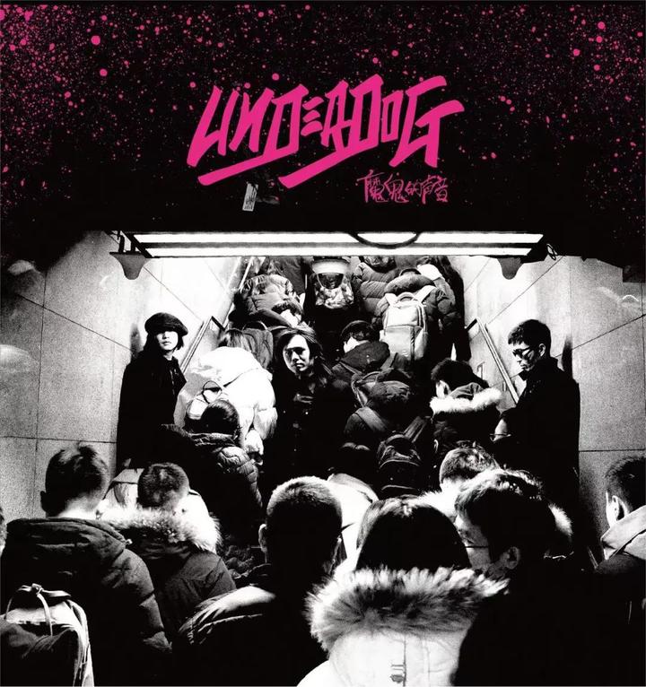 Lost Dog Band: The moment you jump up, everyone looks up to your ...