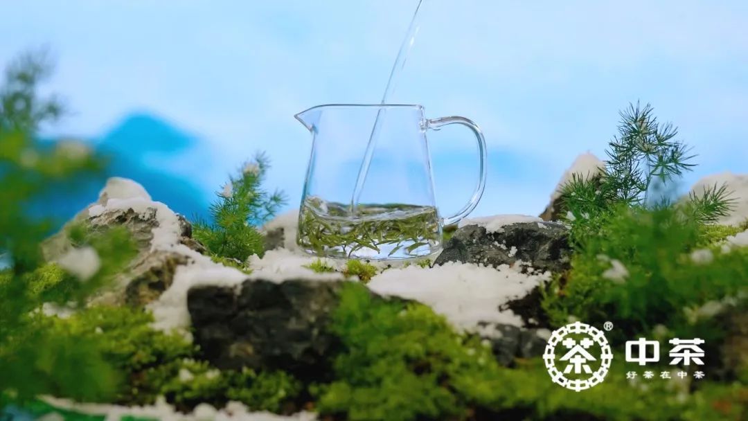 The new "member" of China Tea Green Tea - Emei Xueya, gives you a new ...