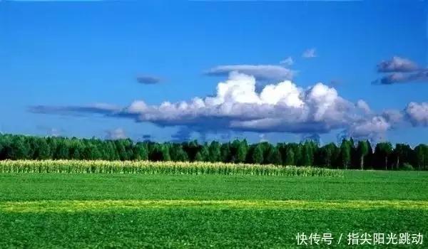 Northeast China's largest plain: vast area, mild terrain, fertile soil ...