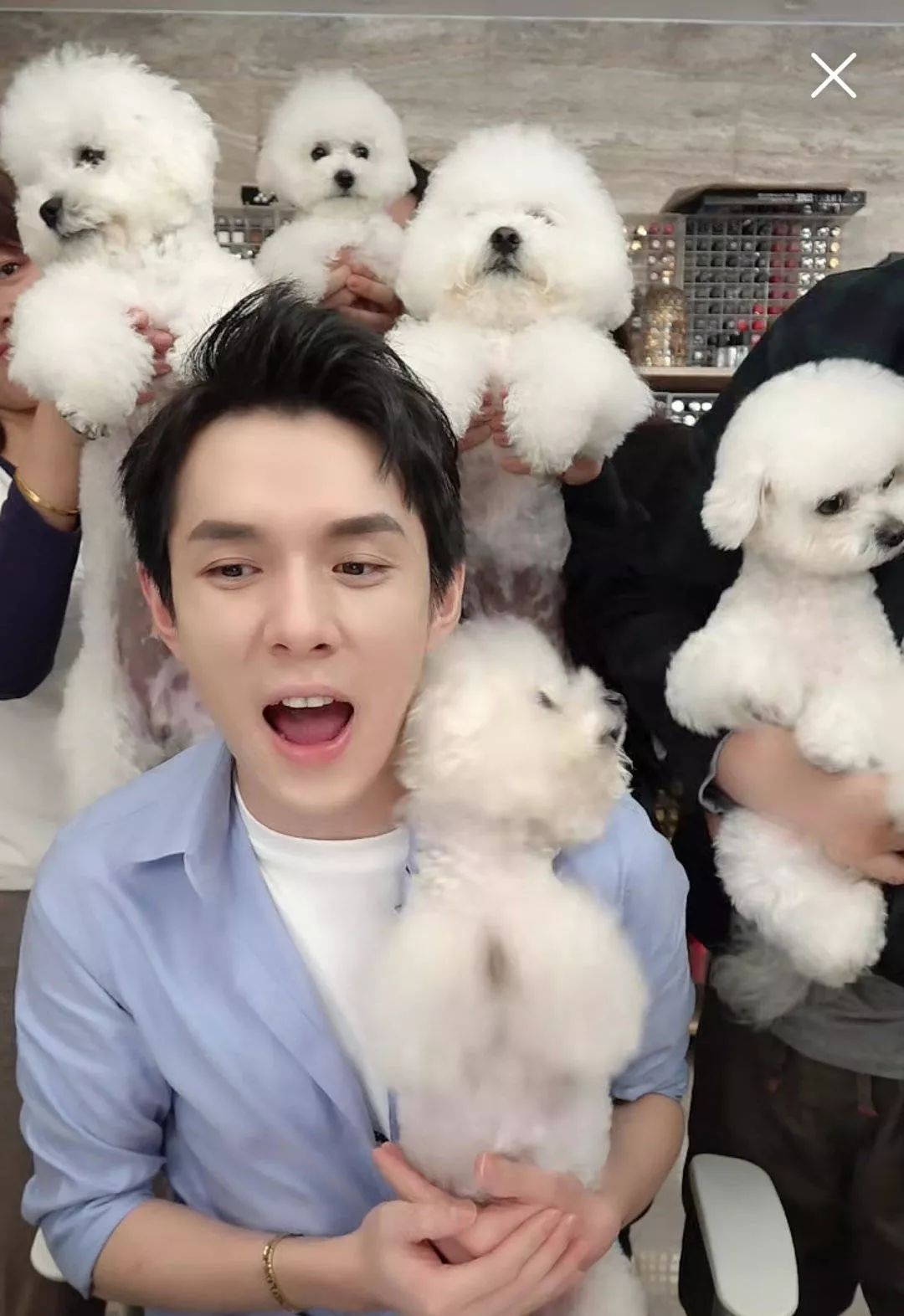 Li Jiaqi denies plastic surgery: Mainly because I don't have the ...