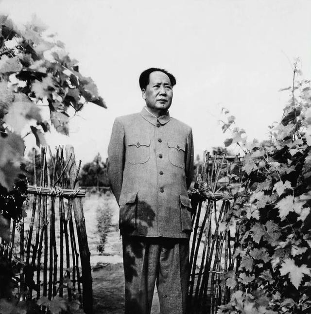 In 1938, when talking about He Zizhen's running away in anger, Mao Zedong said frankly: I have ...