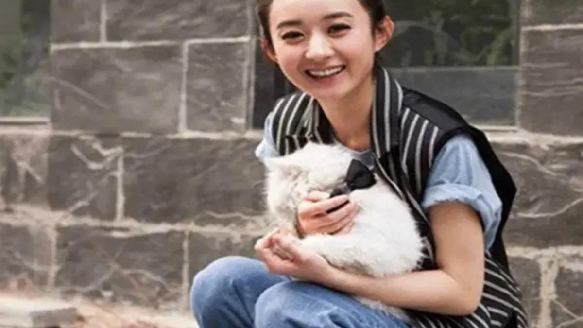 Zhao Liying and Lin Gengxin: a perfect couple on screen and a tacit ...