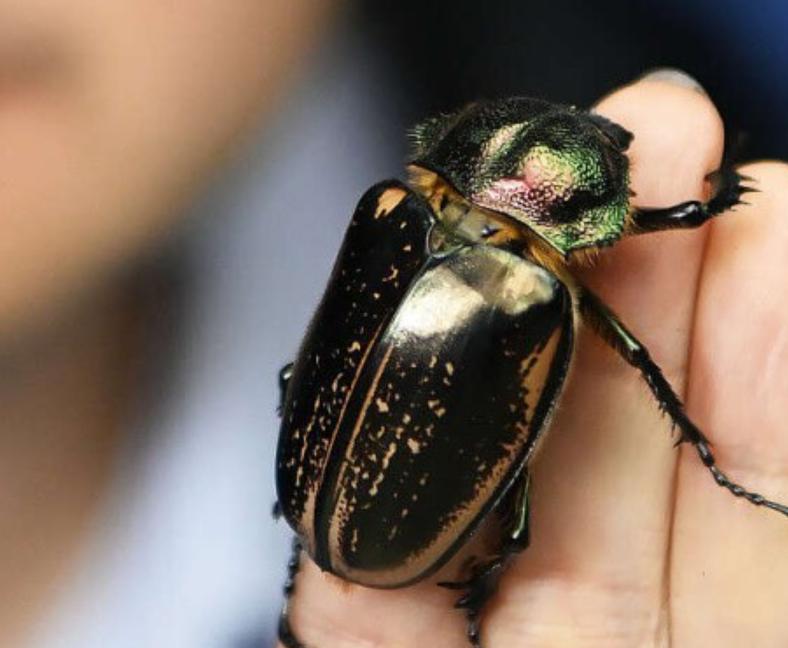 Did the Mayan prophecy come true? What causes the frequent ...