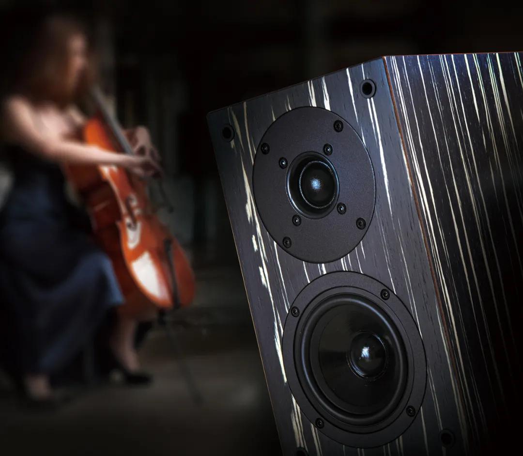 唐韹（Audiomis）MC4書架箱 - 頭條匯