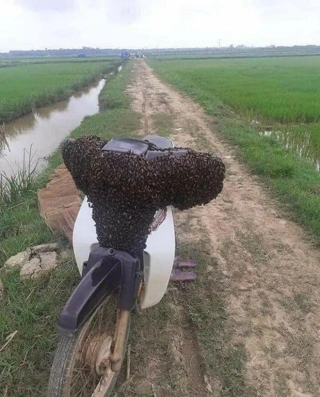 20 pictures show you the creepy side of nature! - iMedia