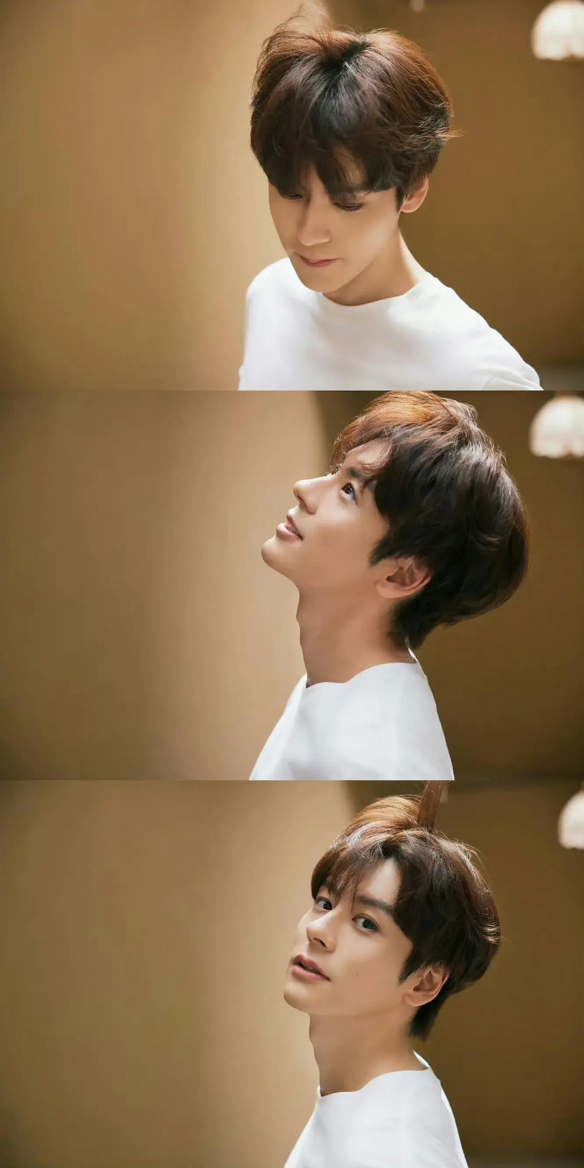 Wei Zheming's dialect vs. Mandarin, which side are you on in this ...