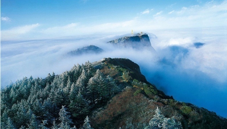 The new "member" of China Tea Green Tea - Emei Xueya, gives you a new ...