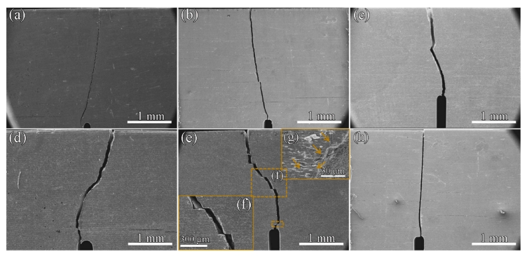 DLP technology studies the high strengthening efficiency of textured ...