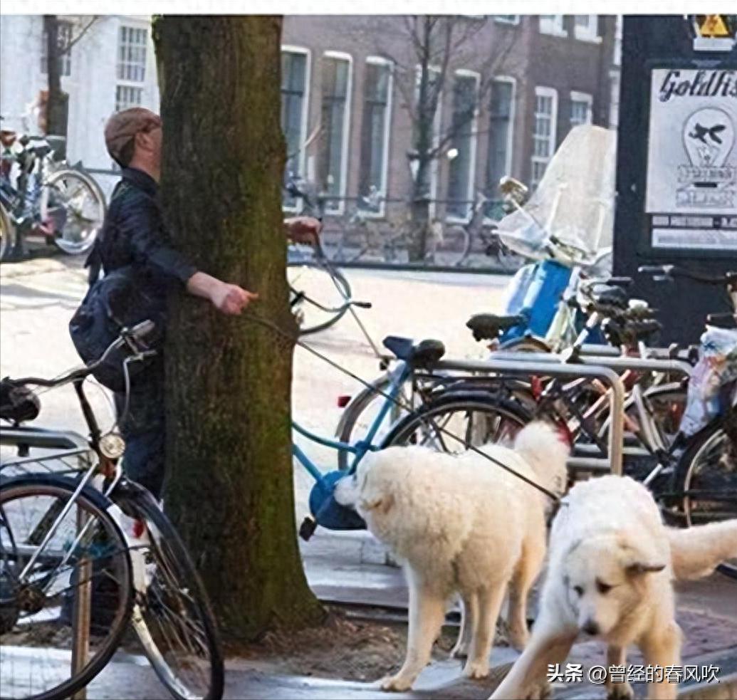 This is a picture that can make people smile crookedly. If the smile ...