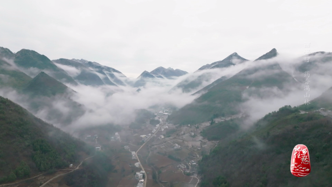 Xi'an Village at the foot of Bashan Mountain has been with the "sea of ...