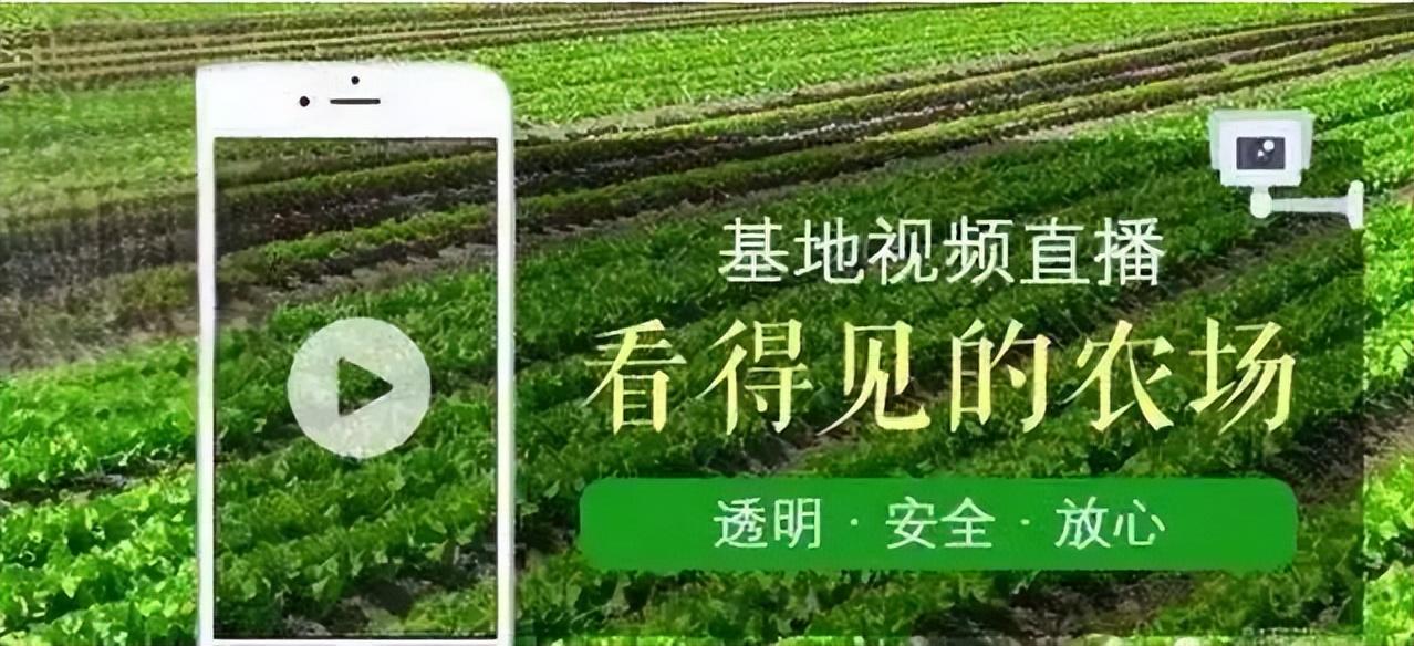 How to transform agriculture under government support? Agriculture ...