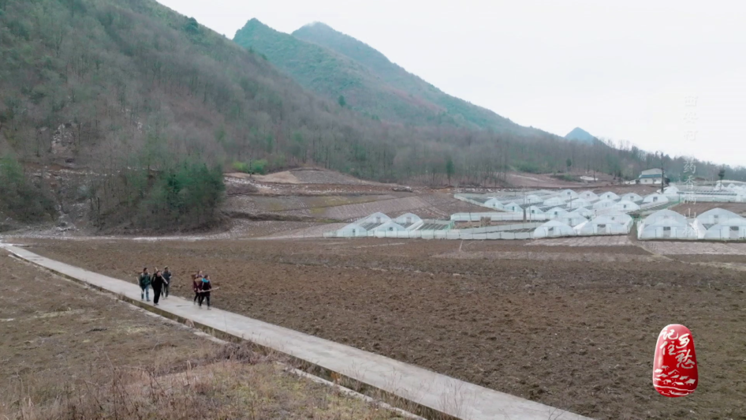 Xi'an Village at the foot of Bashan Mountain has been with the "sea of ...