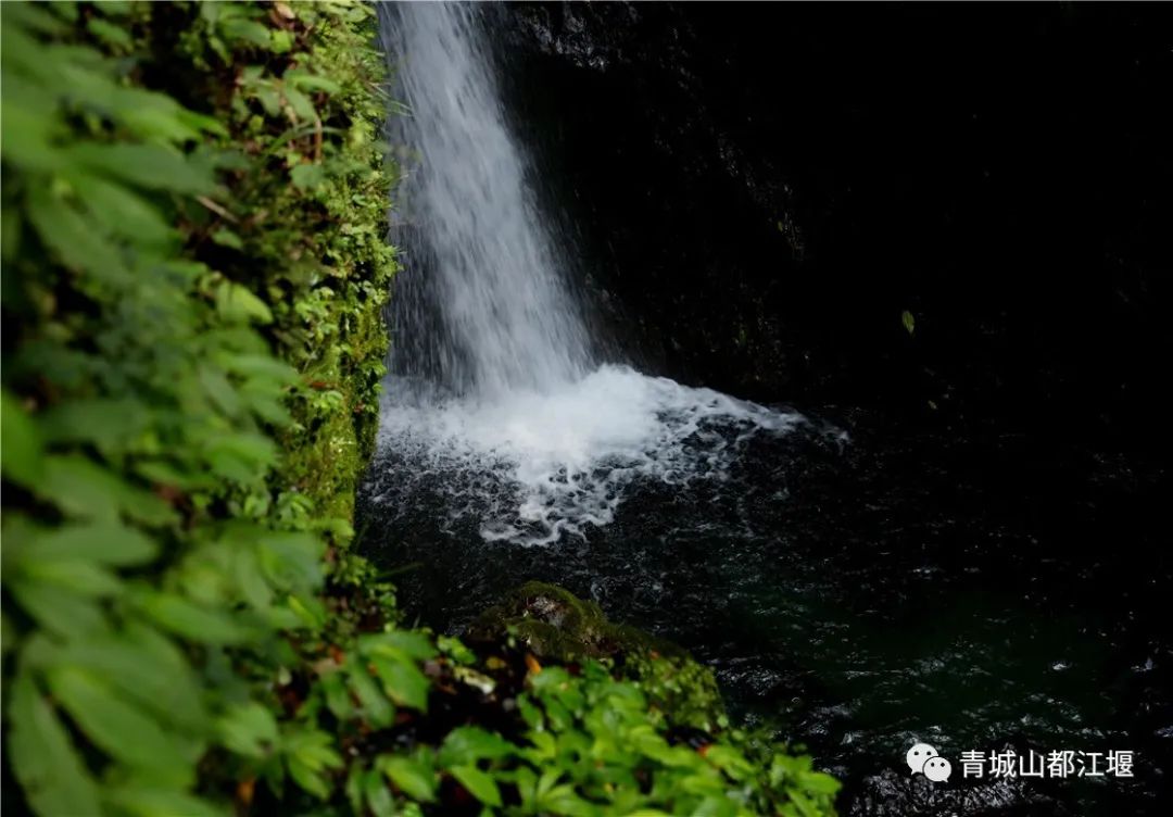 Great place in spring!1h direct access to "Natural Drunken Oxygen Land ...