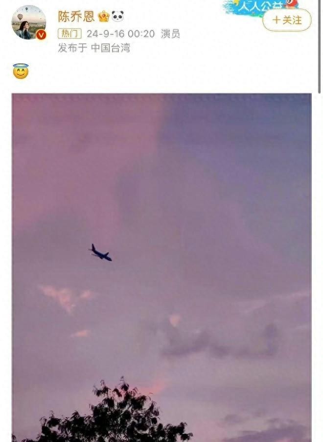 Chen Qiaoen asked someone to send flowers on the eve of her wedding ...