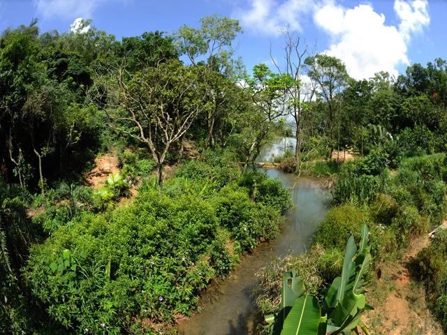 Walking with green │ Feel the beauty of Cotai Ecological Reserve - iNEWS