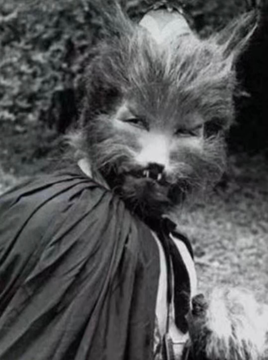 The actor who plays the Kirin Witch Doctor in "Flowers" is a hidden ...