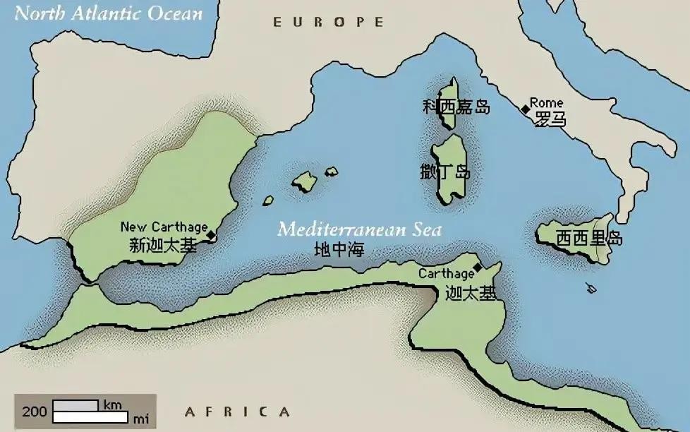 The Three Punic Wars that lasted for more than a hundred years: the ...