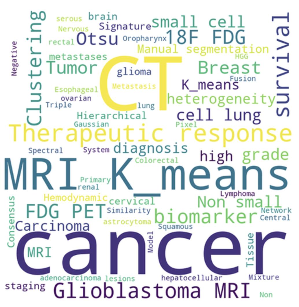 Tumor habitat imaging should go beyond multimodality and subregions ...